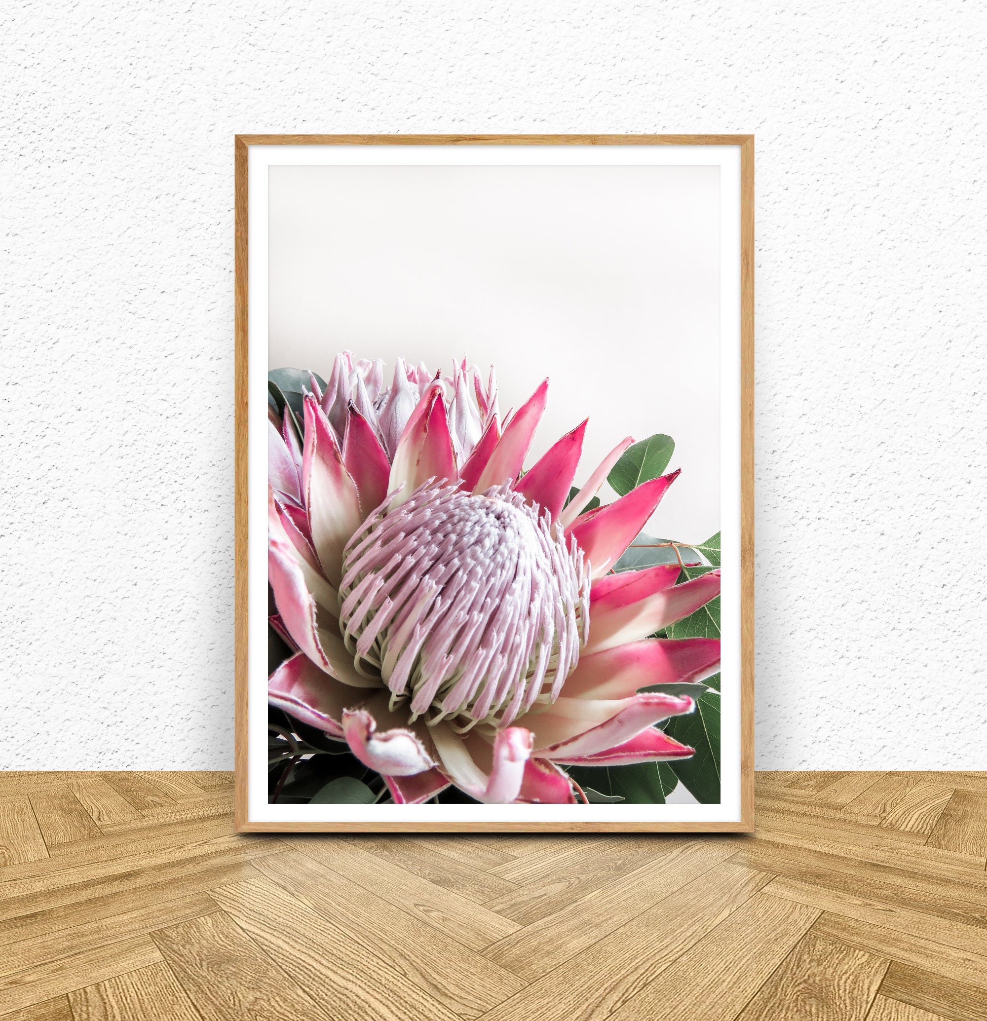 Protea Flower Art Print Printable Wall Art Digital Art | Etsy