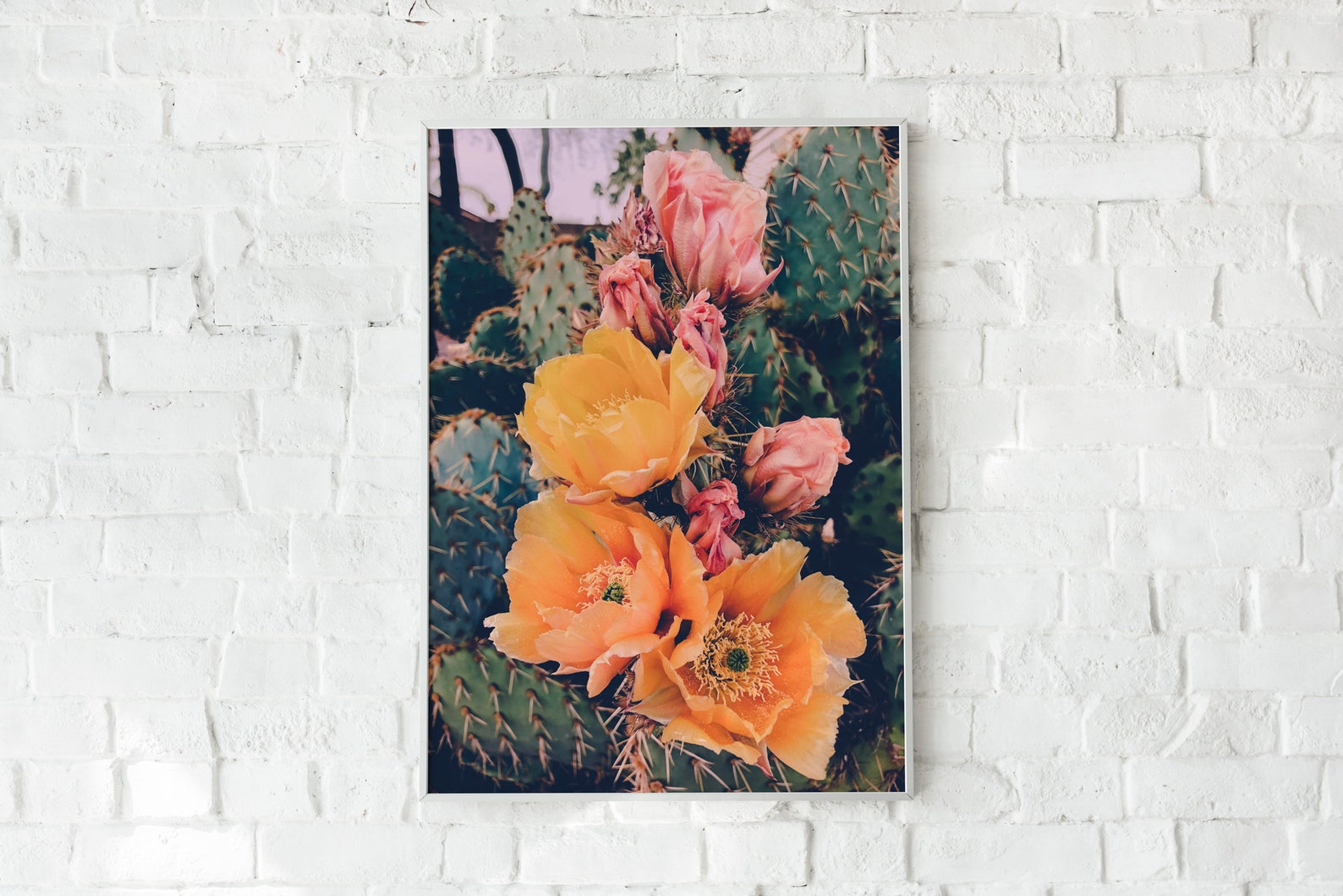 Cactus Flower Art Print, Desert Flower Art Print, Cactus Flower Photo ...