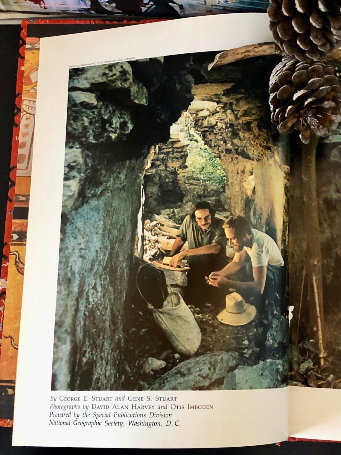 The Mysterious Maya by Stuart, George & Stuart, Gene - Published by ...