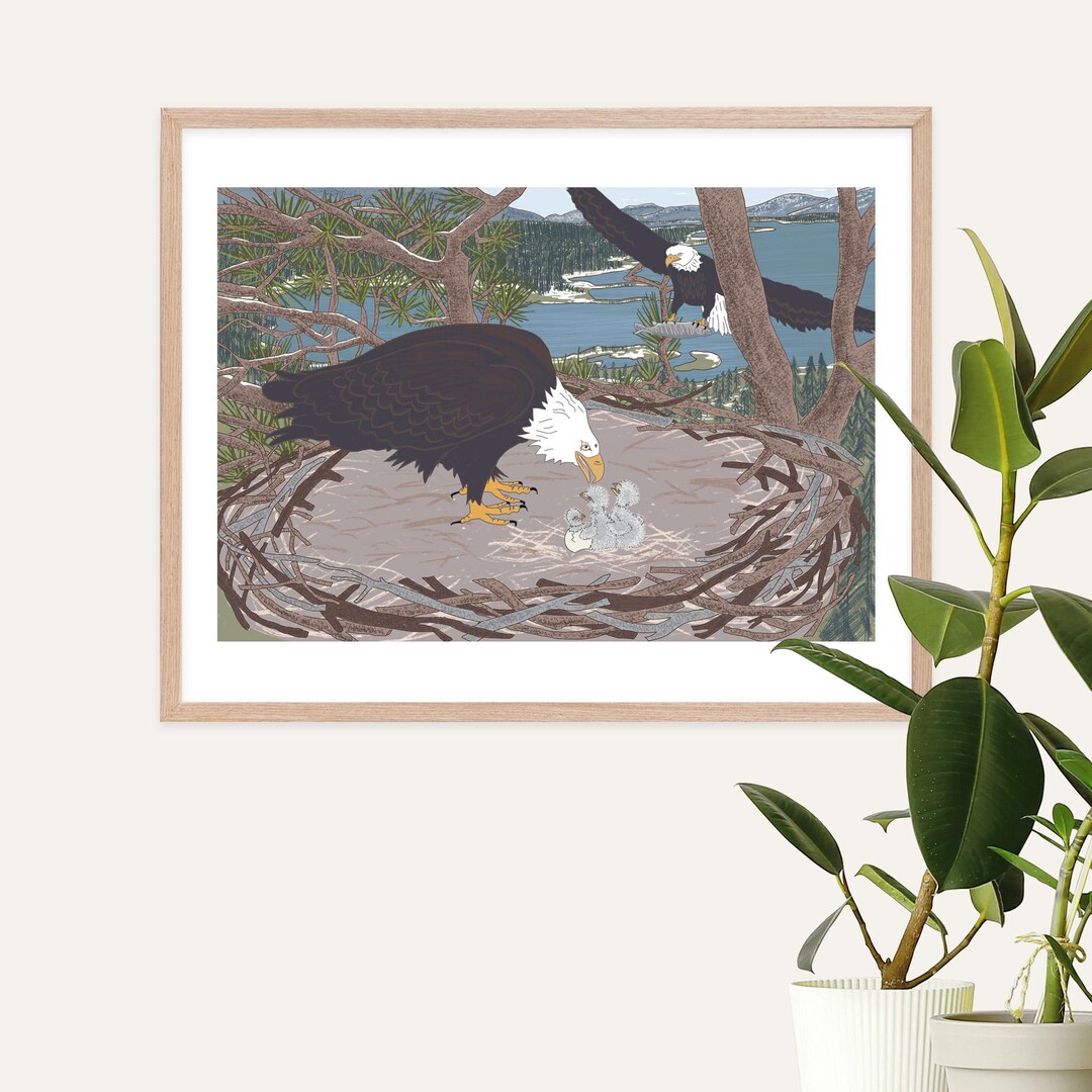 Bald Eagle Art Print Jackie and Shadow Wall Art for Bird Lover Gift for ...