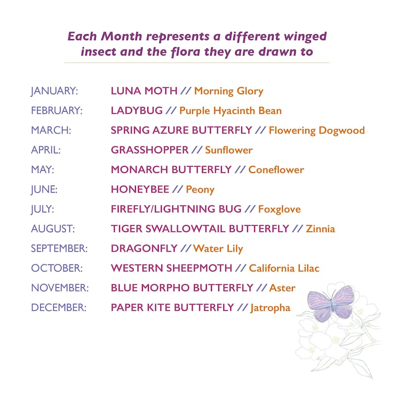 Perpetual Calendar | Birthday Calendar With Hooks | Flora and Fauna | Hanging Calendar ...