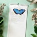 Floral Perpetual Calendar: Botanical Anniversary & Birthday Tracker - Etsy