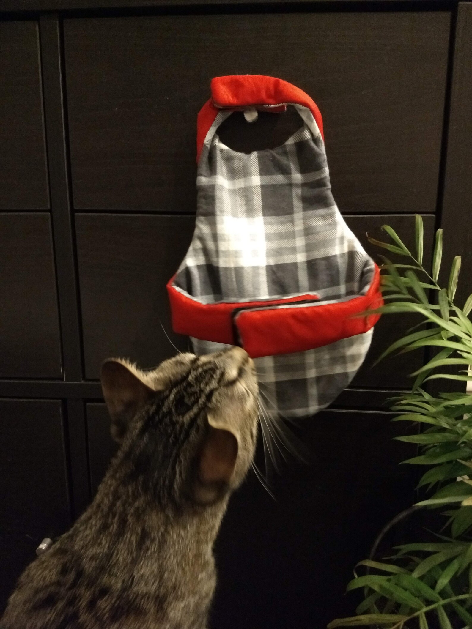 Winter Jacket Cat Harness: Digital Sewing Pattern - Etsy