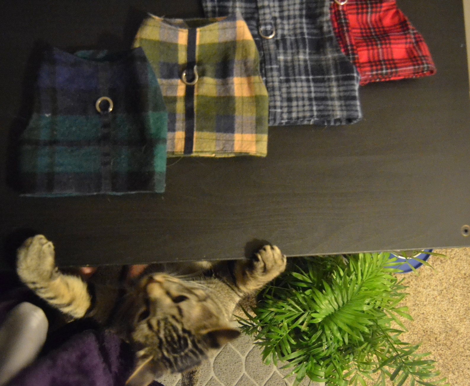 Cozy Cat Harness: Digital Sewing Pattern - Etsy