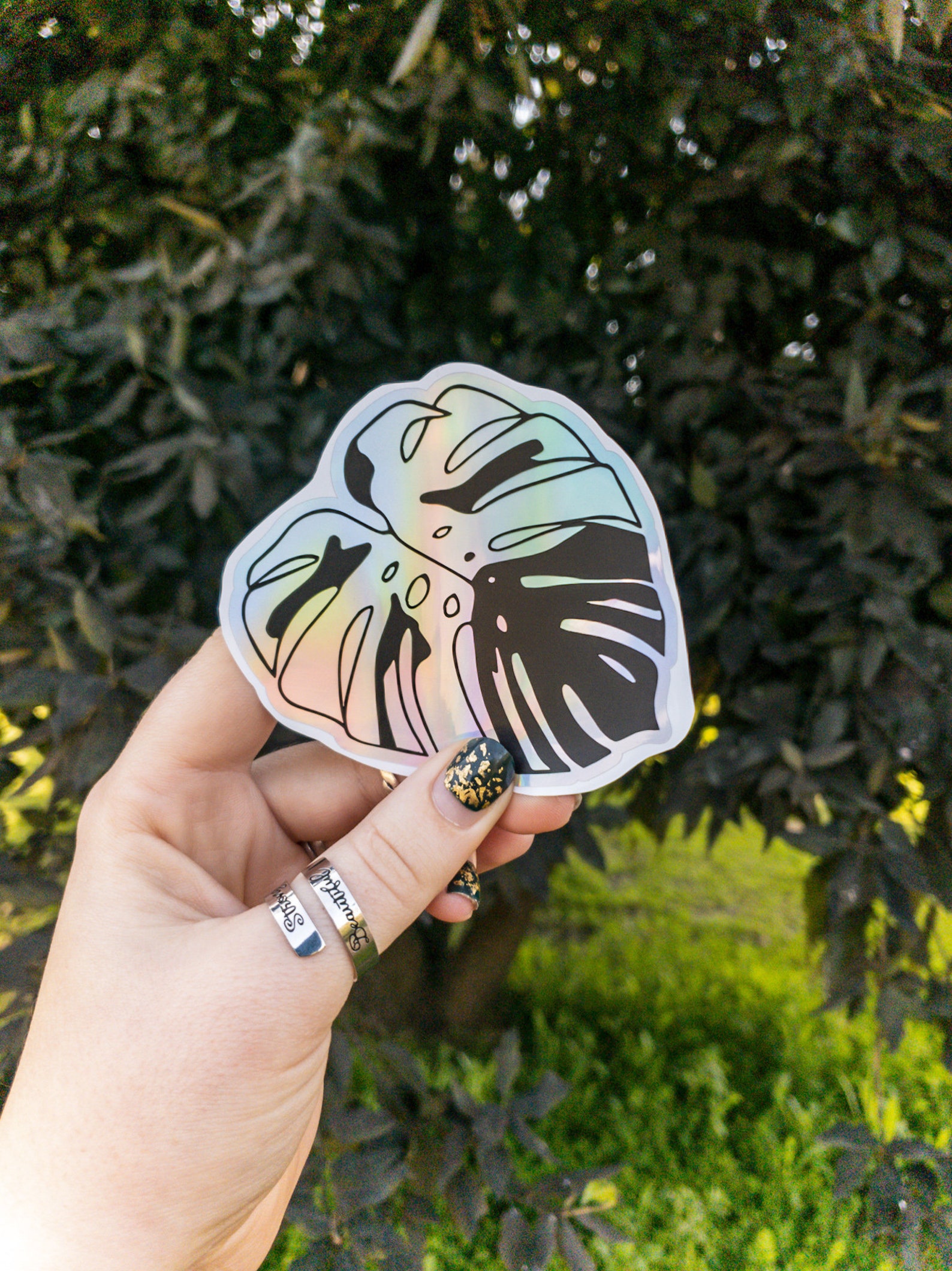 Monstera Leaf Decal Variegated Plant Laptop Stickers | Etsy