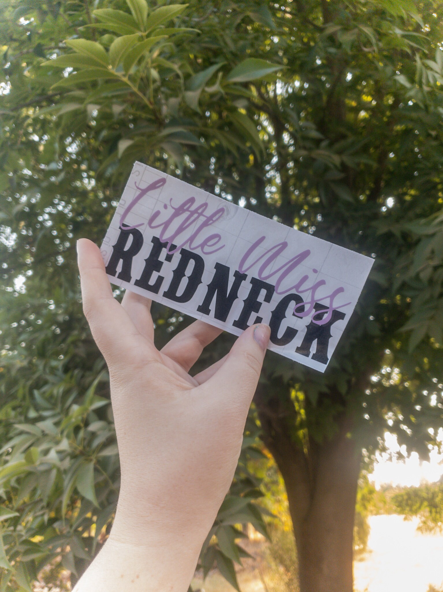 Country Truck Decal Southern Belle Sticker 4x4 Decal | Etsy