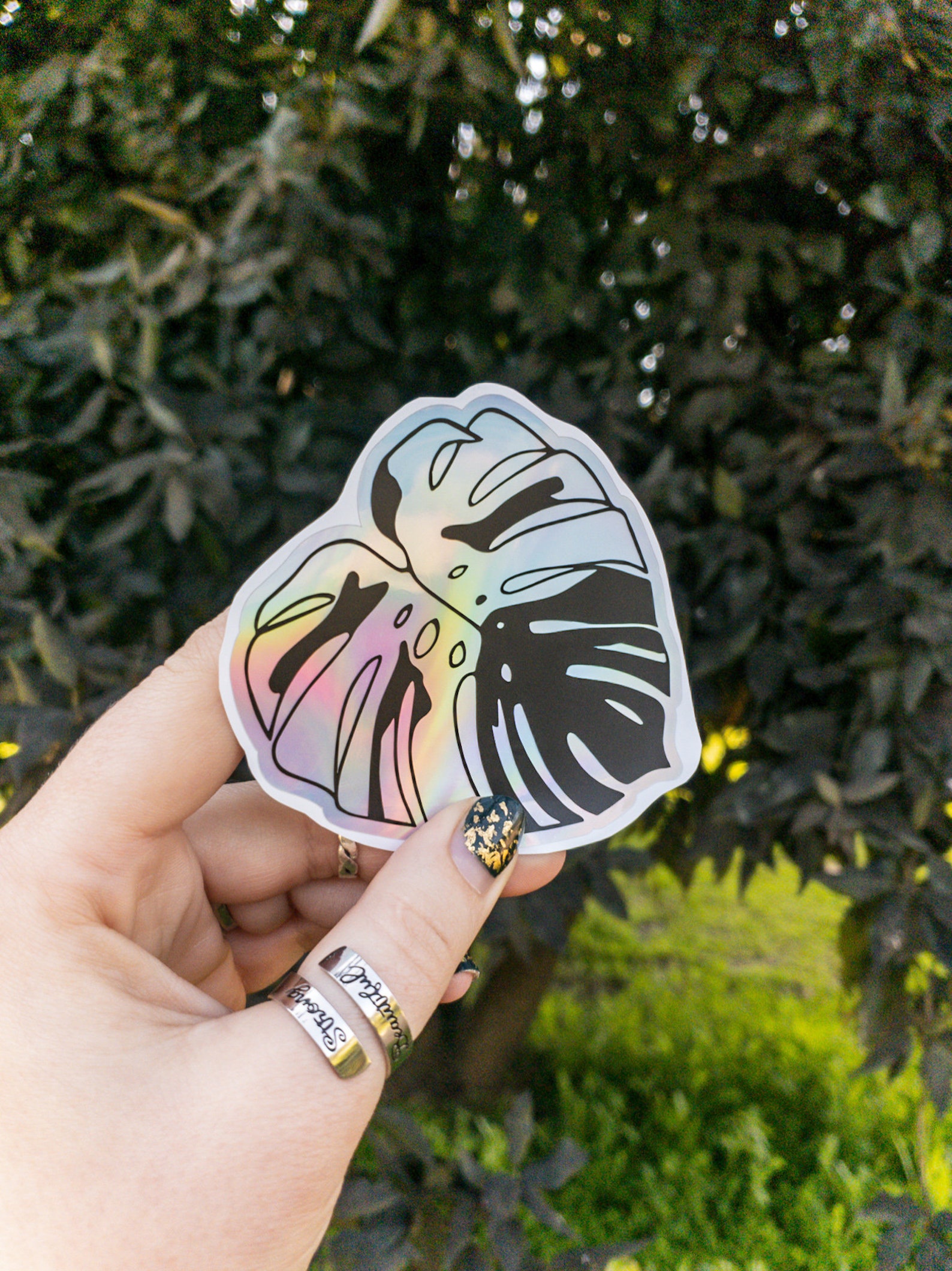 Monstera Leaf Decal Variegated Plant Laptop Stickers | Etsy