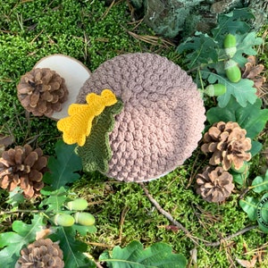 MR. ACORN the Funny Forest Creature Decorative Acorn Big Plush Toy ...