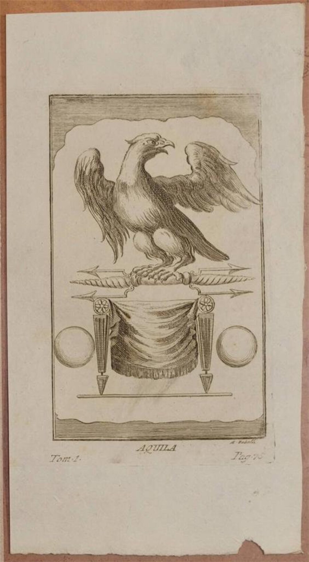 Woodcut Mythology Mythological Figures Aquila Eagle 18th Classic ...