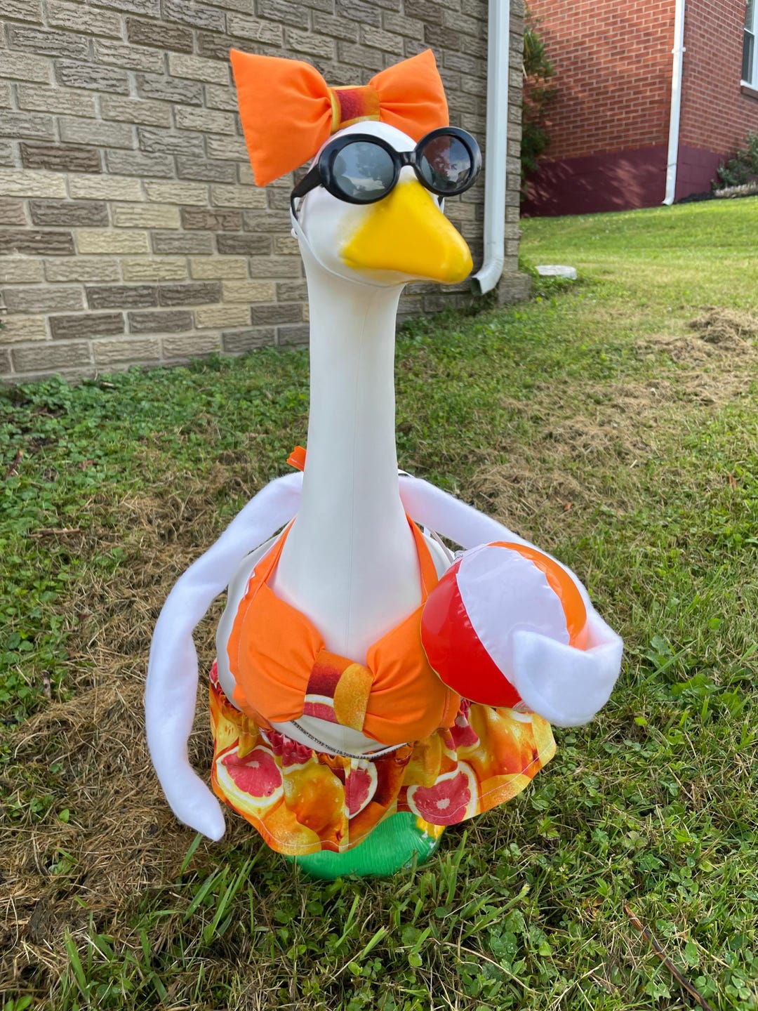 Citrus Splash Goose Outfit – Includes Orange Bikini, Bow, Sunglasses ...