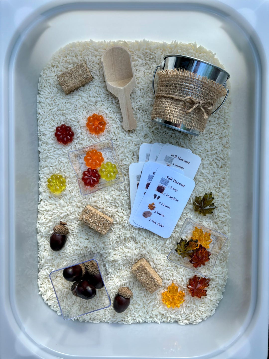 Fall Harvest Sensory Kit- Sensory Bin Kits- Sensory Play- Learning Play ...