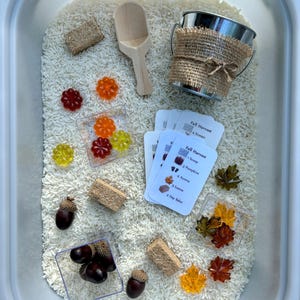 Fall Harvest Sensory Kit- Sensory Bin Kits- Sensory Play- Learning Play ...