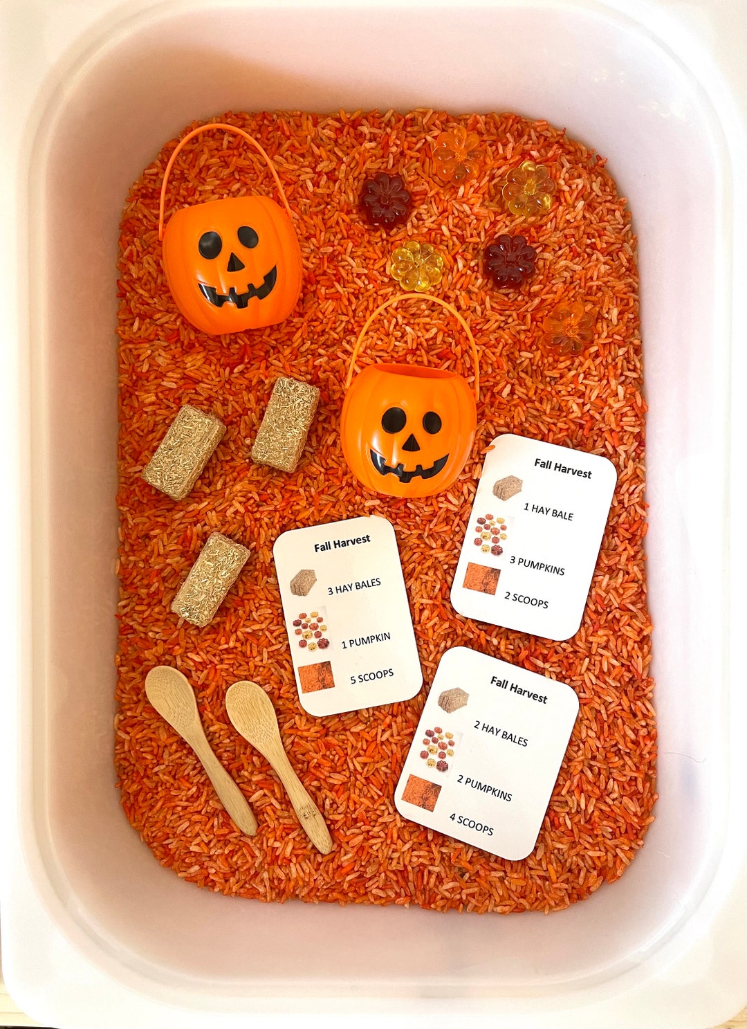 Fall Harvest Sensory Bin Activity Fall Autumn Sensory Play - Etsy
