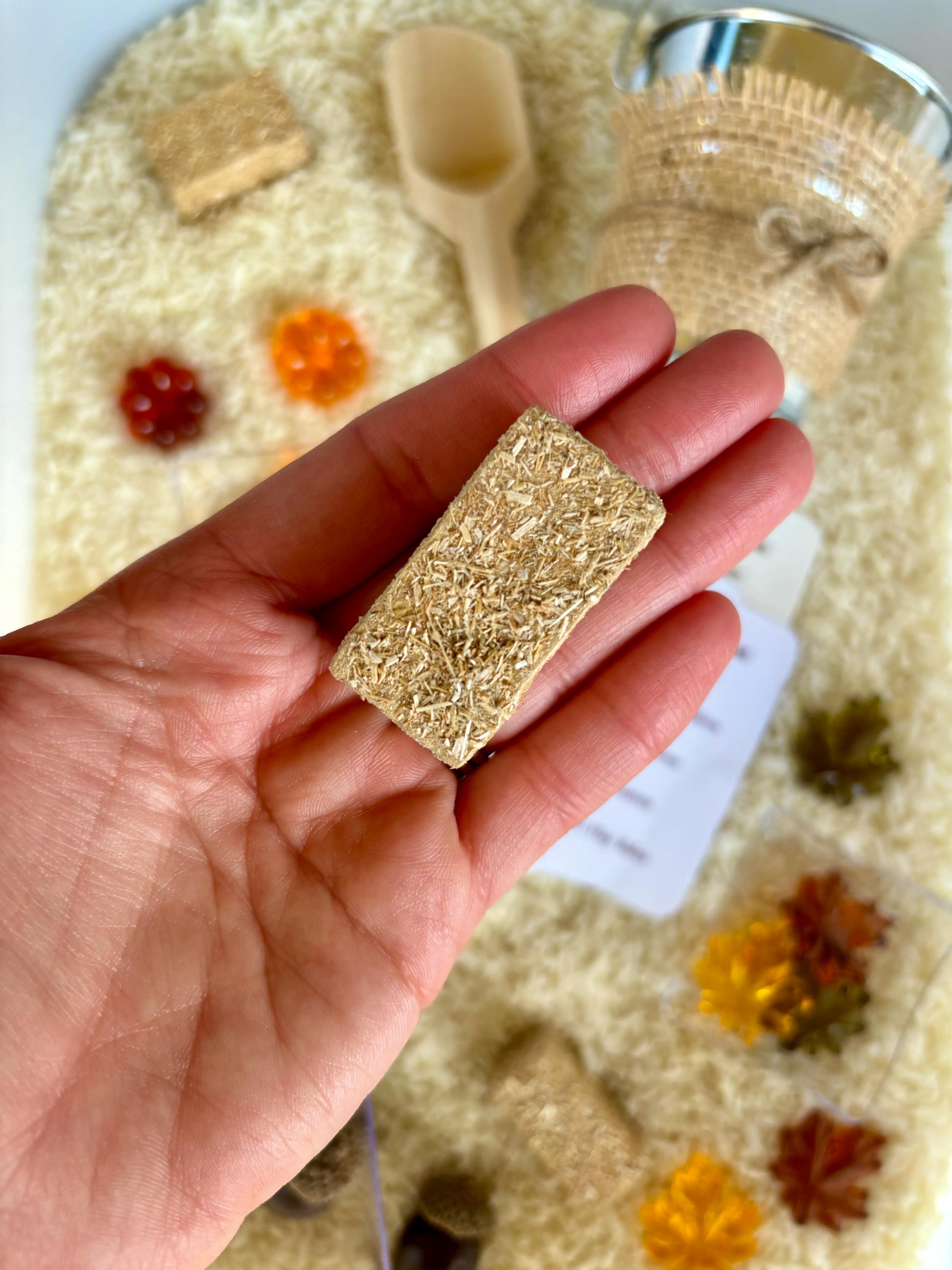 Fall Harvest Sensory Kit Sensory Bin Kits Sensory Play Learning Play ...