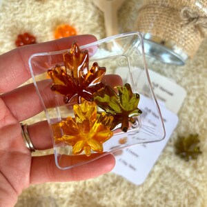 Fall Harvest Sensory Kit- Sensory Bin Kits- Sensory Play- Learning Play ...