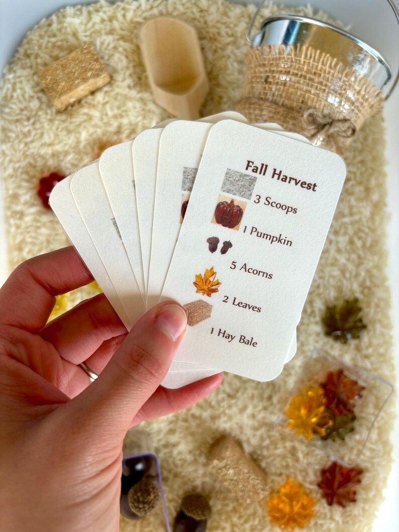 Fall Harvest Sensory Kit Sensory Bin Kits Sensory Play Learning Play ...
