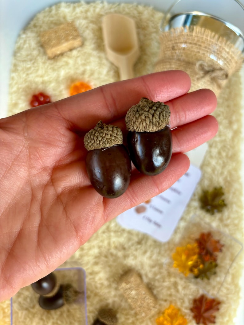 Fall Harvest Sensory Kit Sensory Bin Kits Sensory Play Learning Play ...