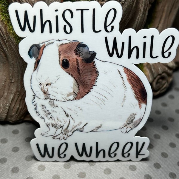 Funny Pig Stickers - Etsy