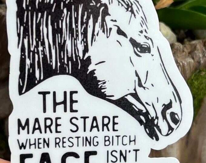 Horse Sticker, Horse Stickers , Water Bottle Sticker , Funny Stickers ...