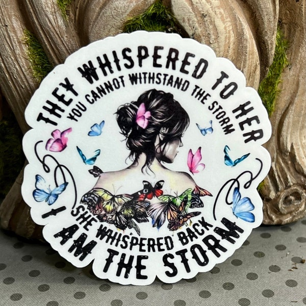 I Am the Storm Stickers - Etsy