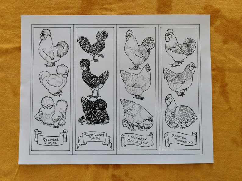 Downloadable Chicken Bookmarks to Color, 4 Different Breeds (silkies ...