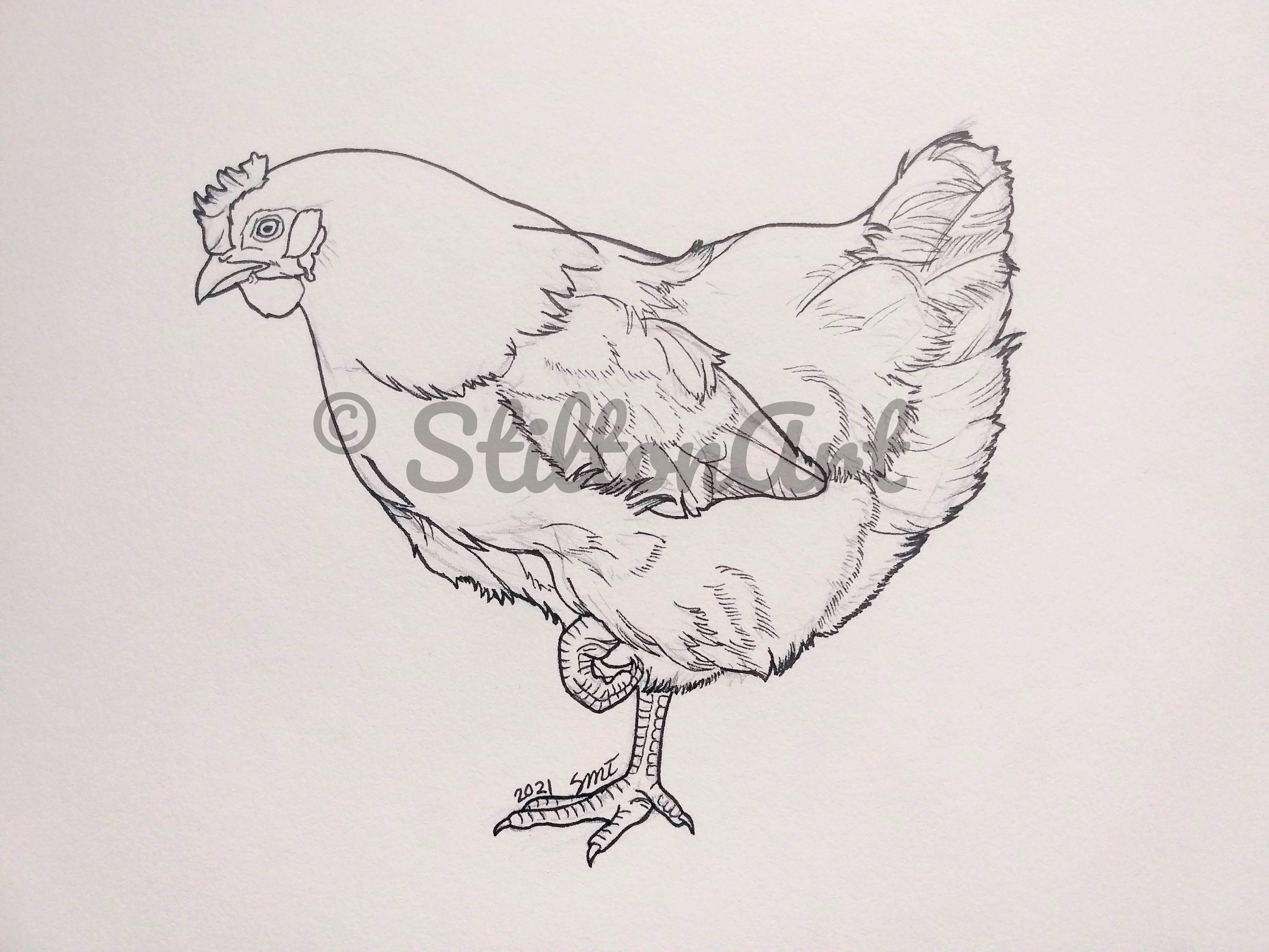 Yolanda the Buff Orpington Hen Digital Downloadable Coloring Page - Etsy