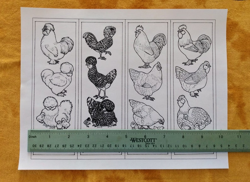 Downloadable Chicken Bookmarks to Color, 4 Different Breeds silkies ...