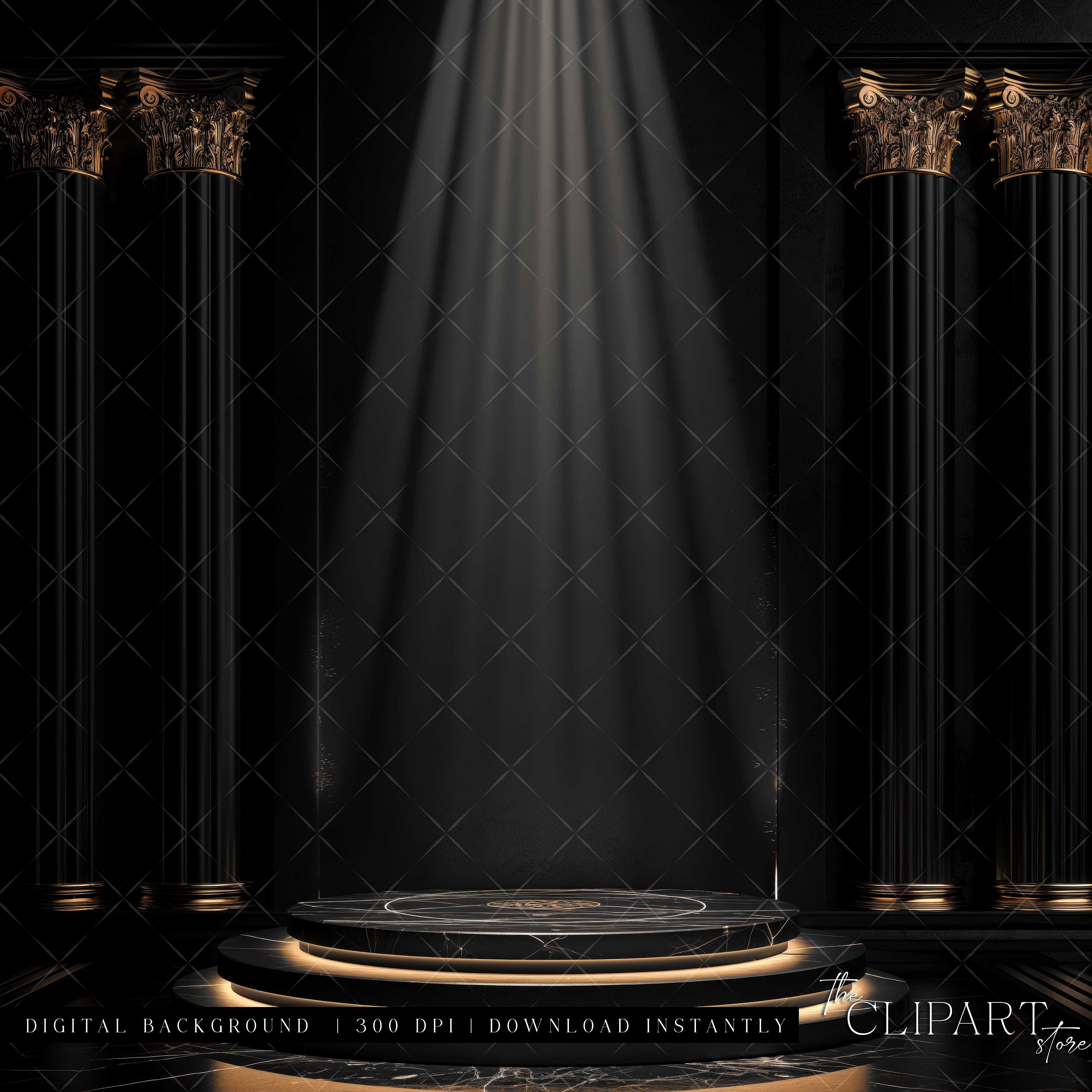 Elegant Black & Gold Digital Photography Backdrop Feathers and Pampas ...
