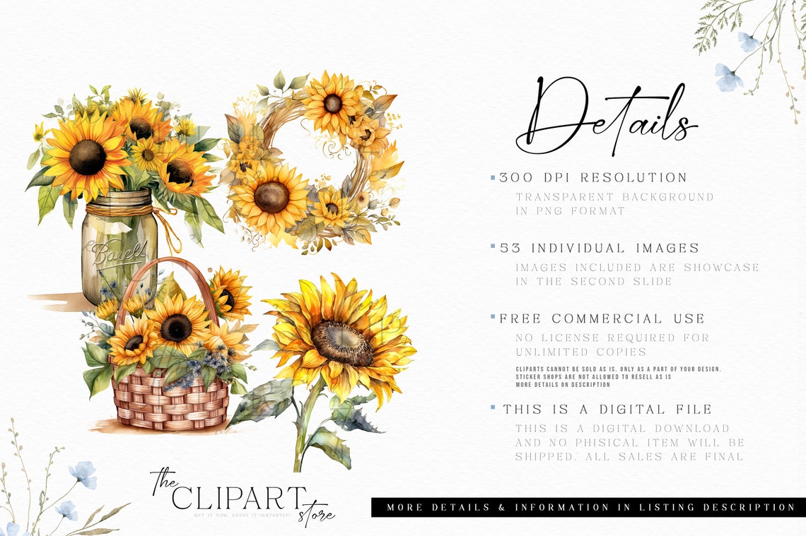 Watercolor Sunflowers Clipart Fall Sunflower Floral Bouquets PNG ...