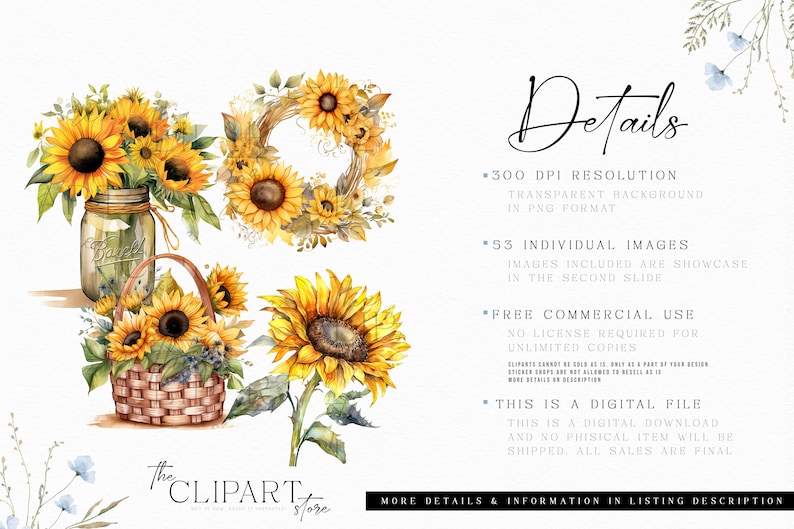 Watercolor Sunflowers Clipart Fall Sunflower Floral Bouquets PNG ...