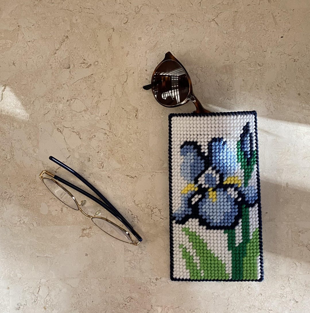 Iris Extra-large Sunglasses and Prescription Glasses Case - Etsy