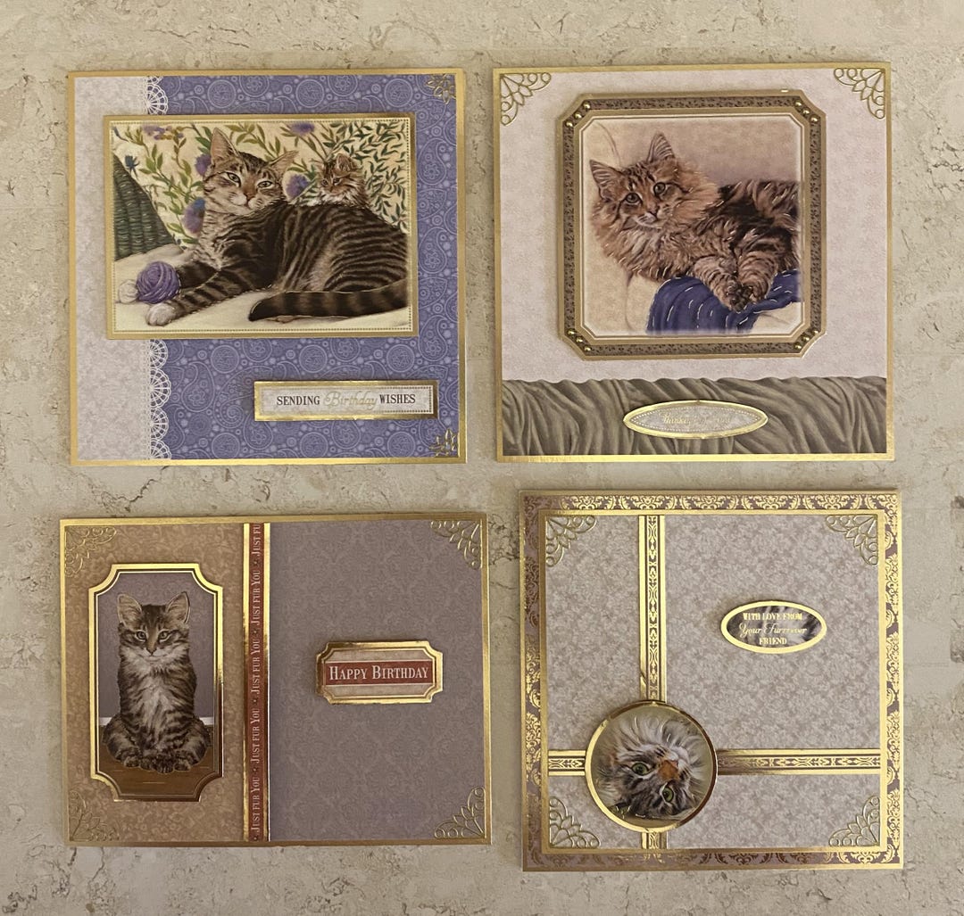 Picture Purrfect Greetings Assortment #1 - Etsy