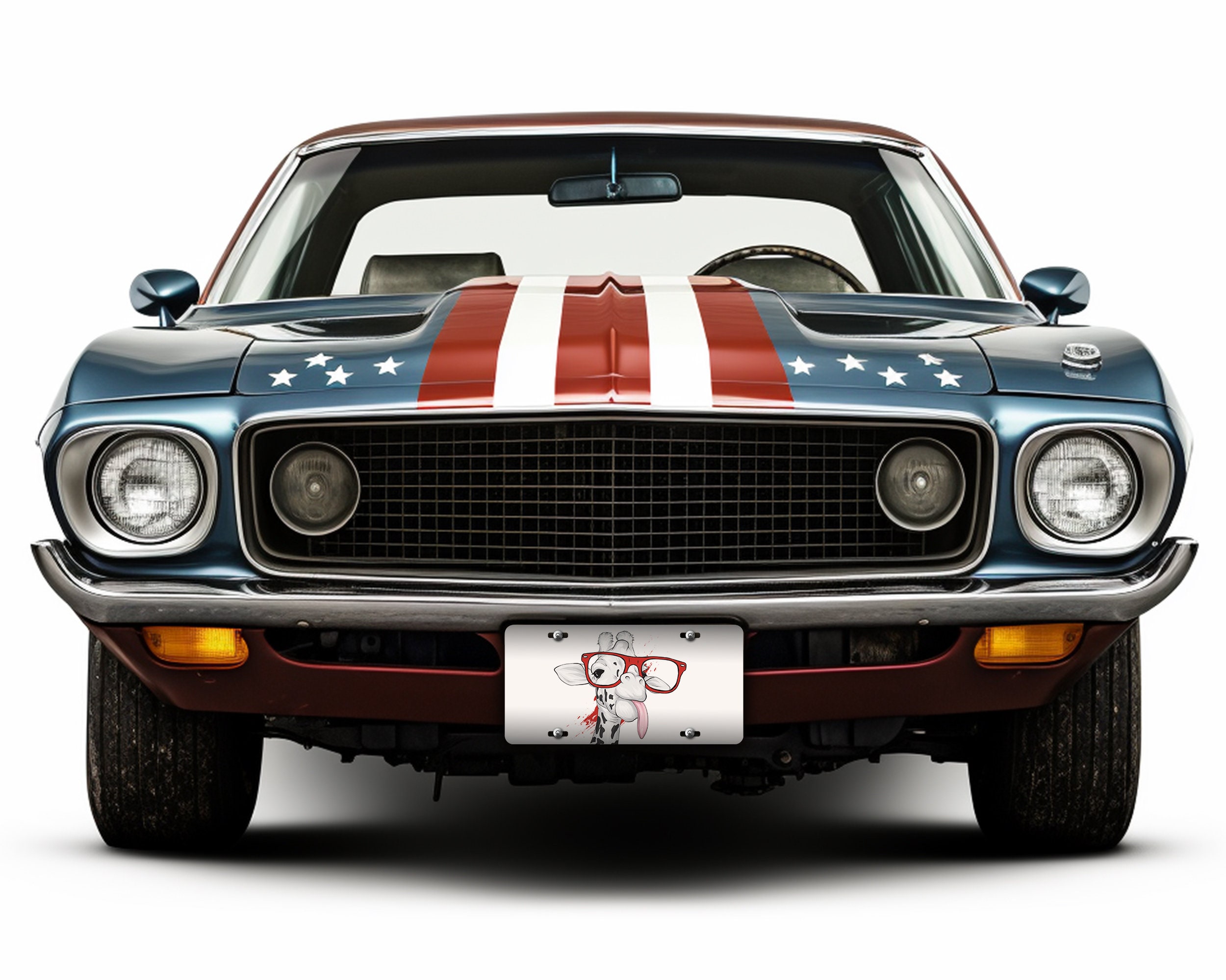 Giraffe License Plate Number, Sublimation Car Tag, Front Plate for ...