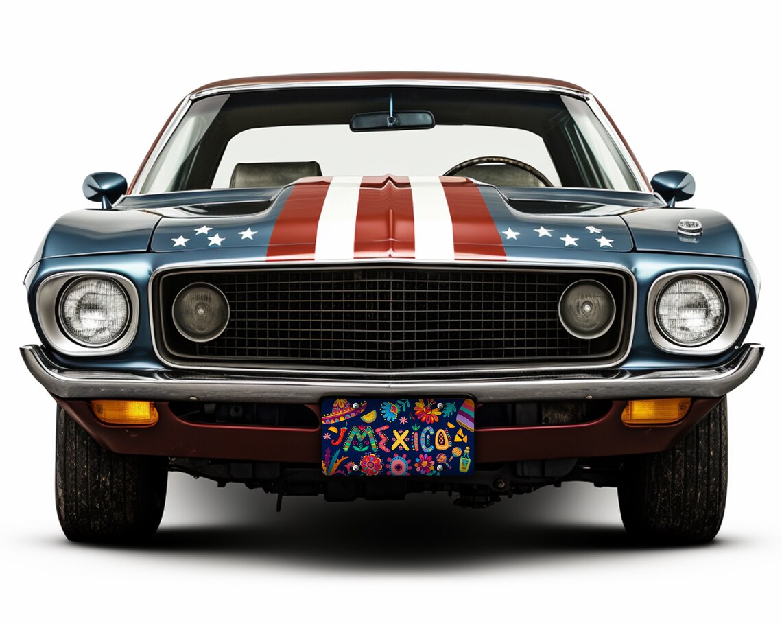 Mexico License Plate Number, Sublimation Car Tag, Front Plate for Truck ...