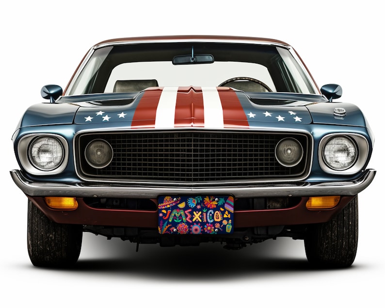 Mexico License Plate Number, Sublimation Car Tag, Front Plate for Truck ...