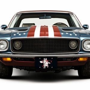 Giraffe License Plate Number, Sublimation Car Tag, Front Plate for ...