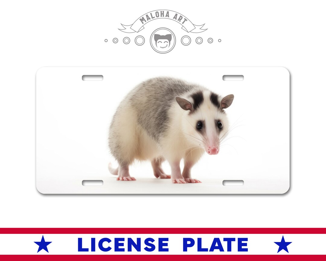 Cute Opossum License Plate Number, Sublimation Car Tag, Front Plate for ...