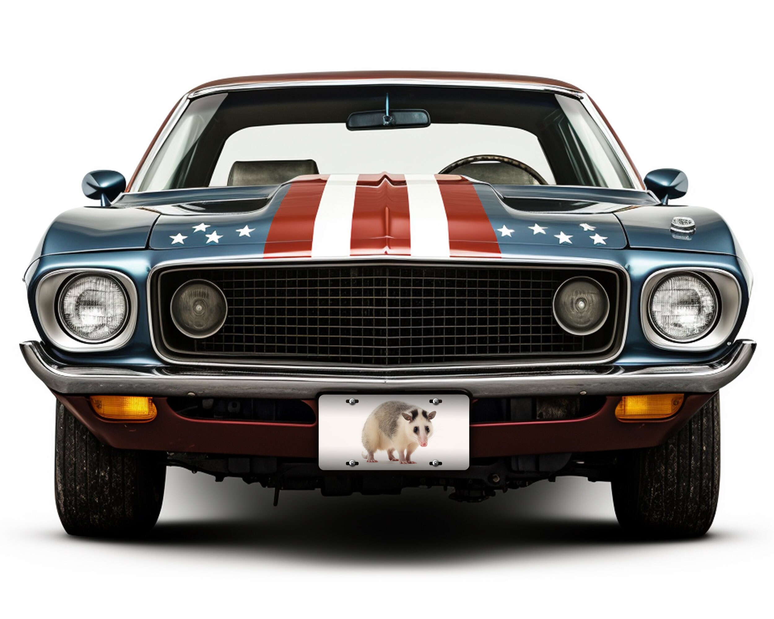 Cute Opossum License Plate Number, Sublimation Car Tag, Front Plate for ...