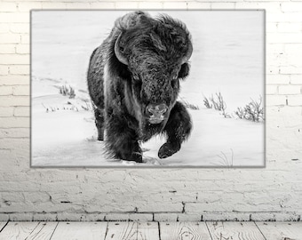 Large Buffalo Print - Etsy
