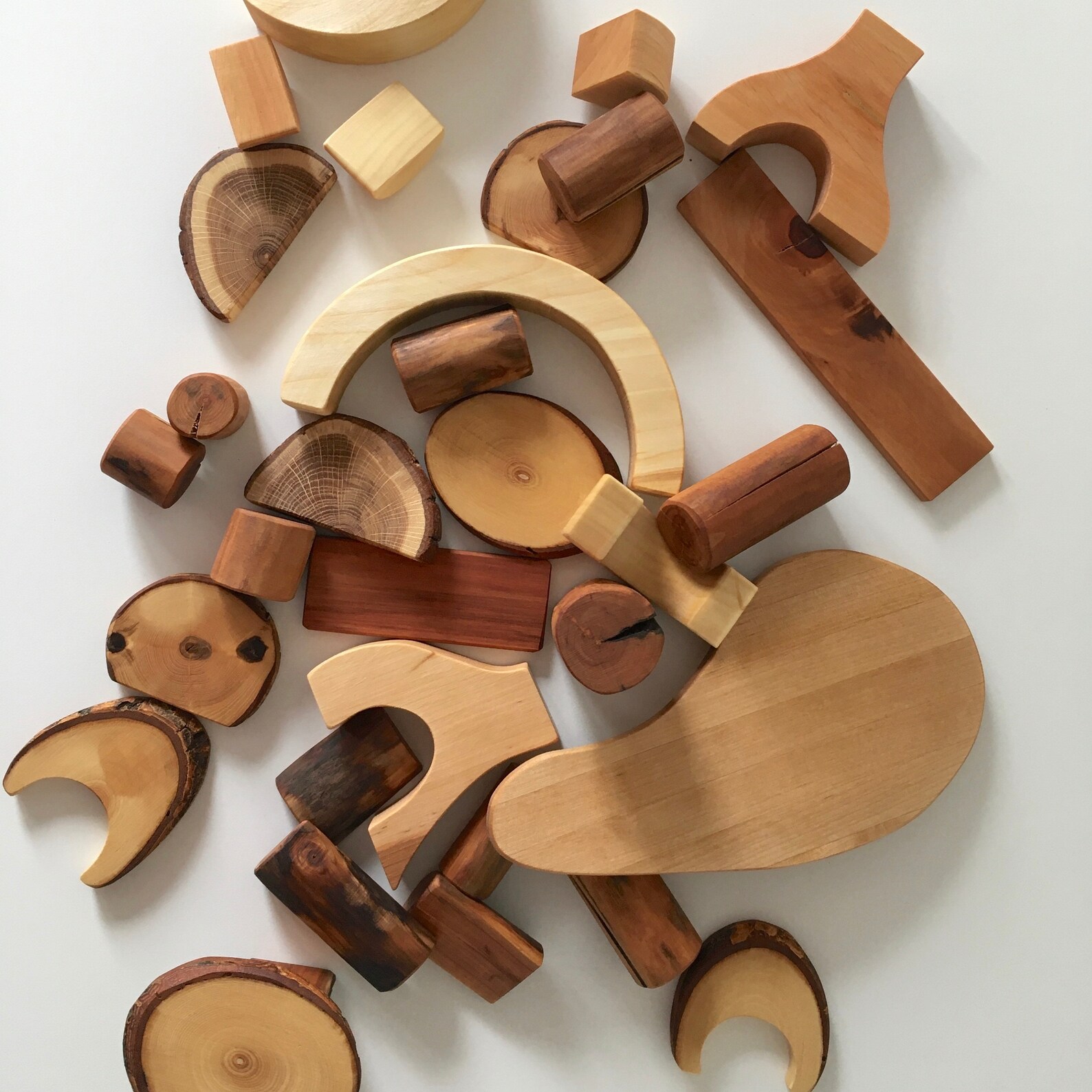 50 Tree Building Blocks Grand Set of Natural Materials | Etsy