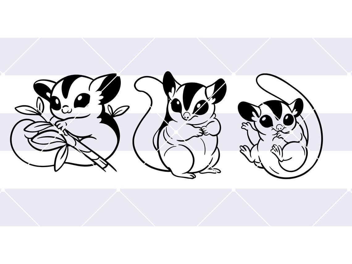 Cute Sugar Glider SVG Bundles - Etsy