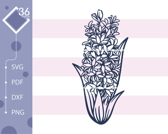 Hyacinth flower SVG | Etsy