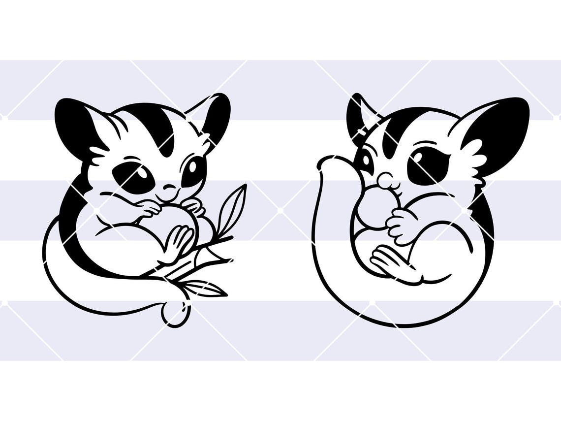 Cute Sugar Glider SVG Bundles - Etsy