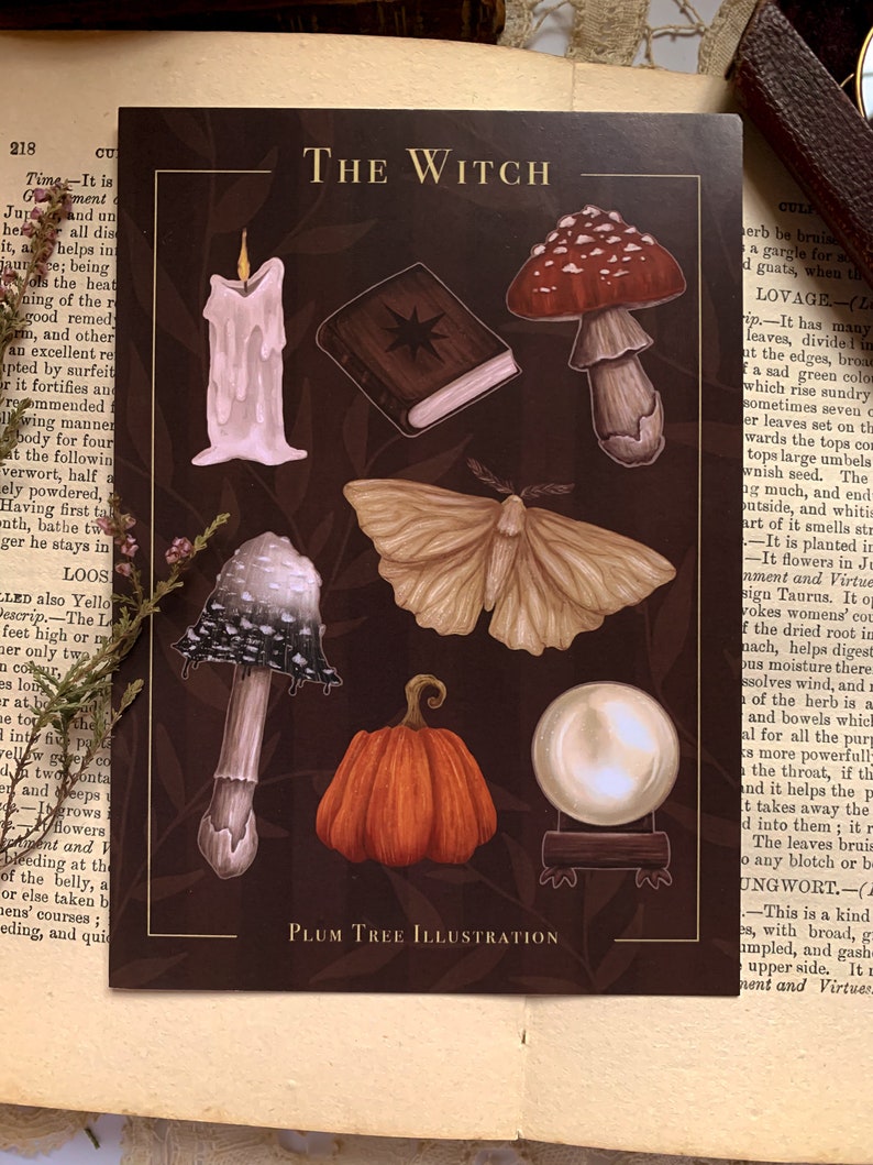 Witchy Postcard Witch Card Vintage Postcard Dark - Etsy