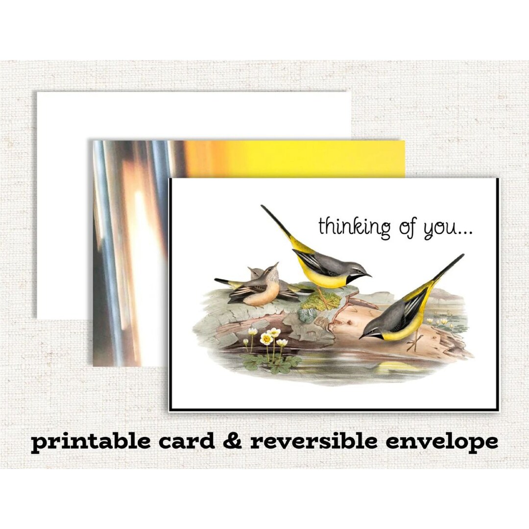 Thinking of You Note Card Set FOUR LITTLE SONGBIRDS Instant - Etsy