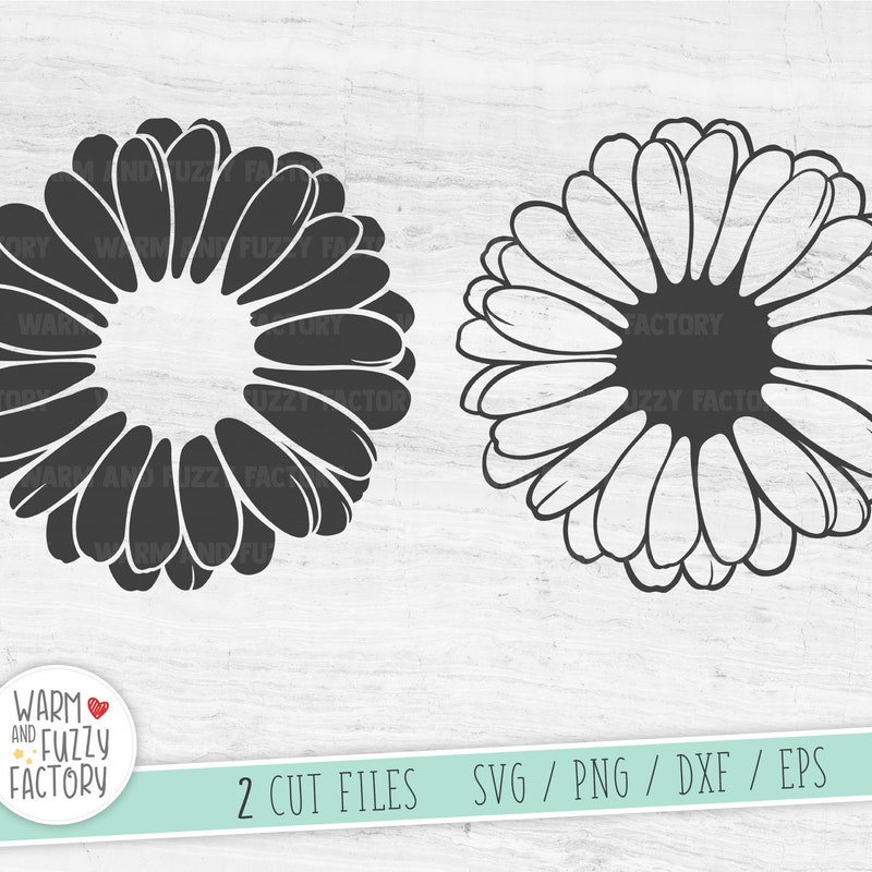 Gerber Daisy - Etsy