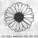 Daisy Svg Gerber Daisy Svg Daisy Svg Bundle Cut File for - Etsy Canada