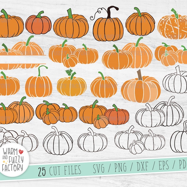 Pumpkin Svg - Etsy