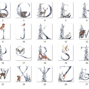 Winter Alphabet, Animal Alphabet, White Alphabet PNG, Wildlife Alphabet ...