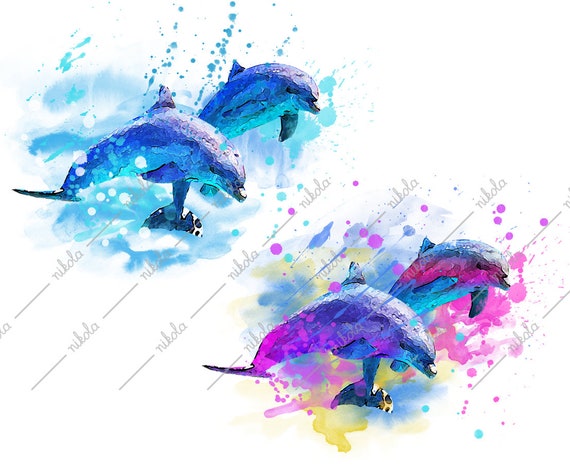 Dolphin PNG Watercolor Sublimation Clipart - Etsy